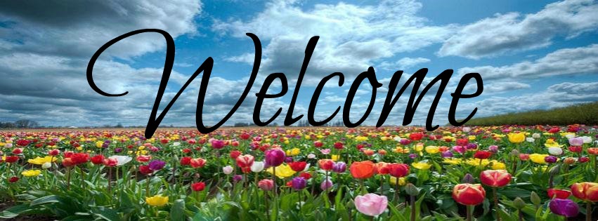 Home - Midlands Christian